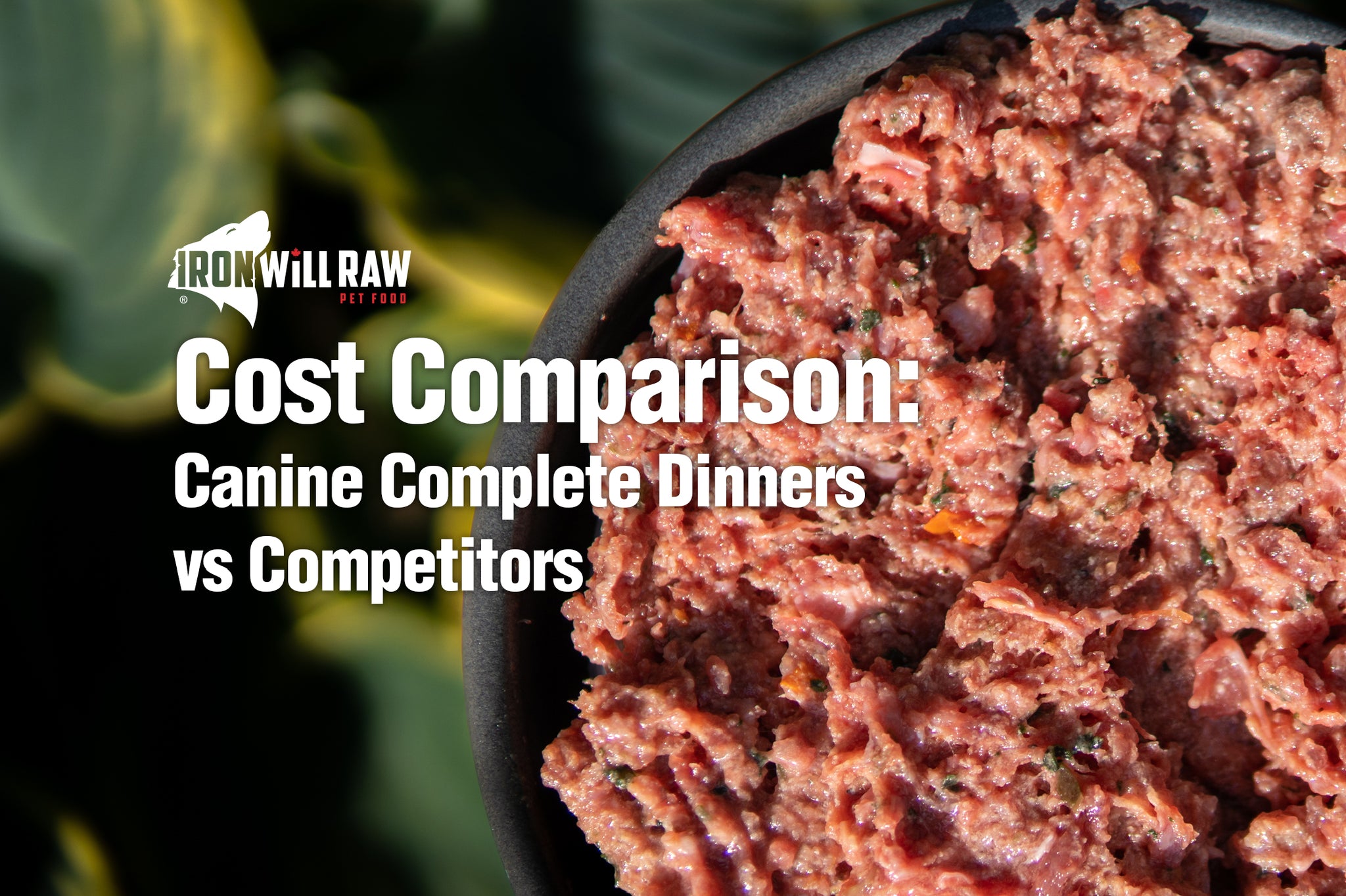 Canine Complete Dinners: Simplifying Pet Nutrition for the Busy Househ ...